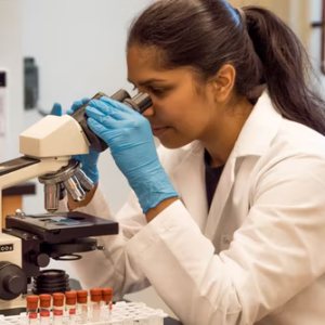 Free SAT & ACT Prep Resources | Prep Expert