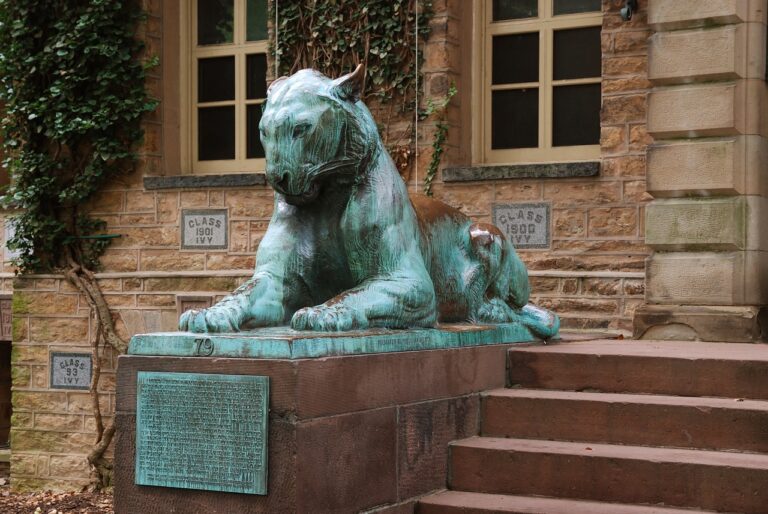 Princeton Admission Requirements Explained - Prep Expert